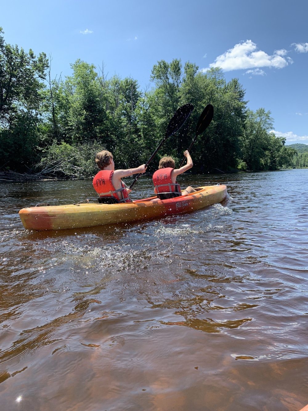 Summer Immersion Program